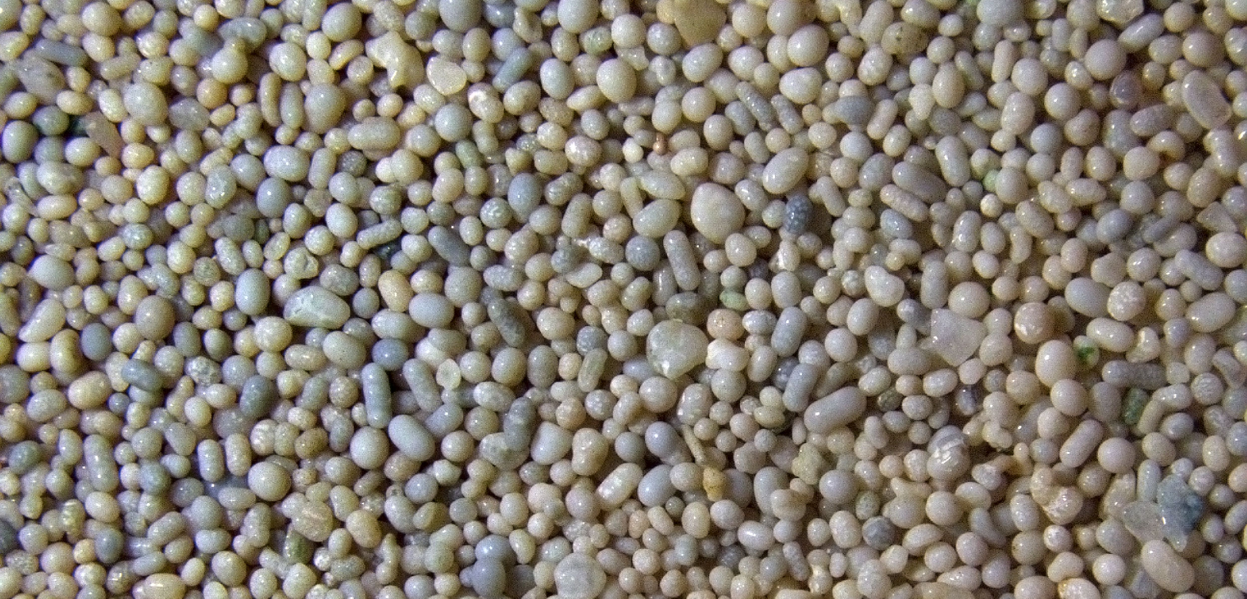 Sand Collecting: Awaken Your Inner Psammophile – Brian Williams Science